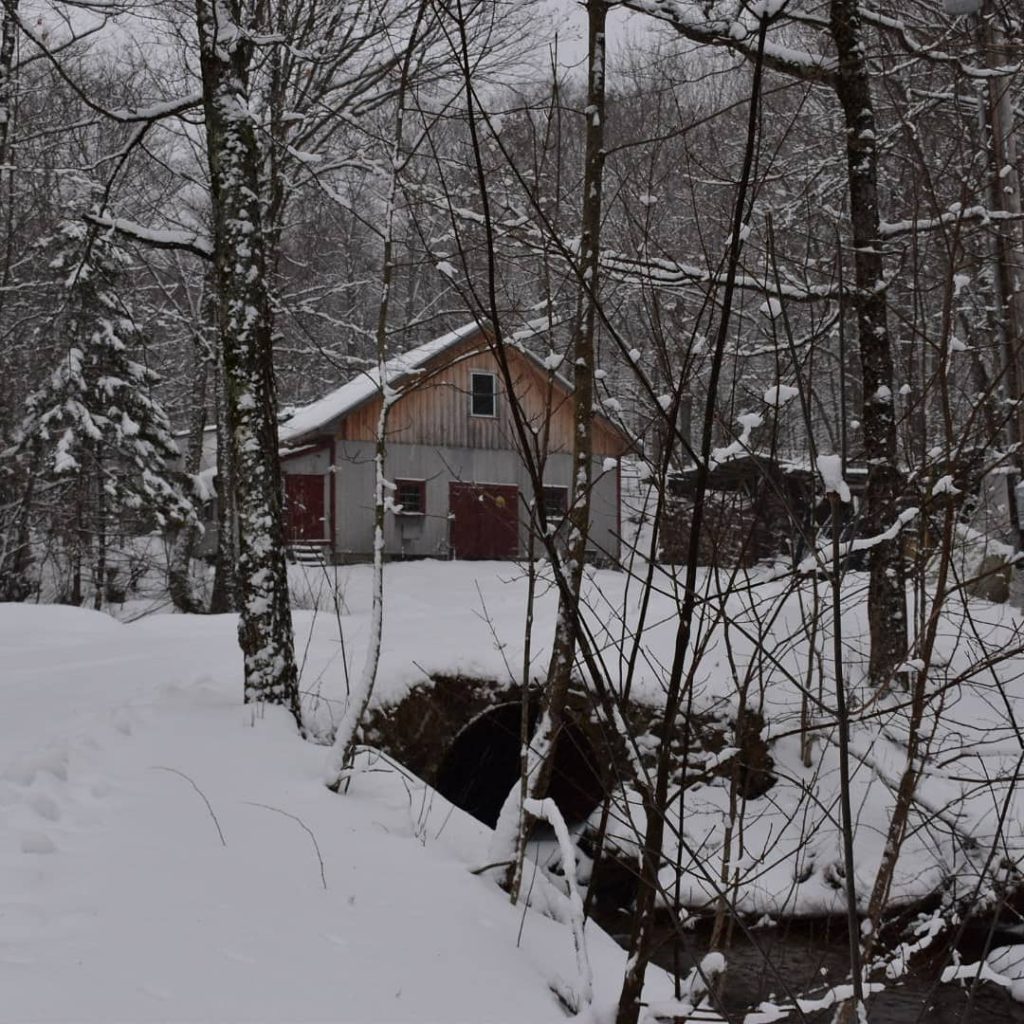 2021 Maple Harvest in Vermont